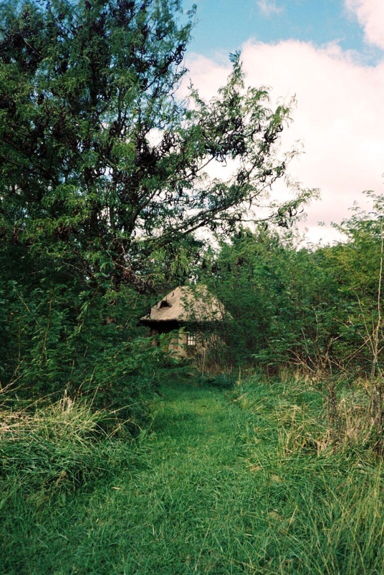 Paula Alvarado – Periodista